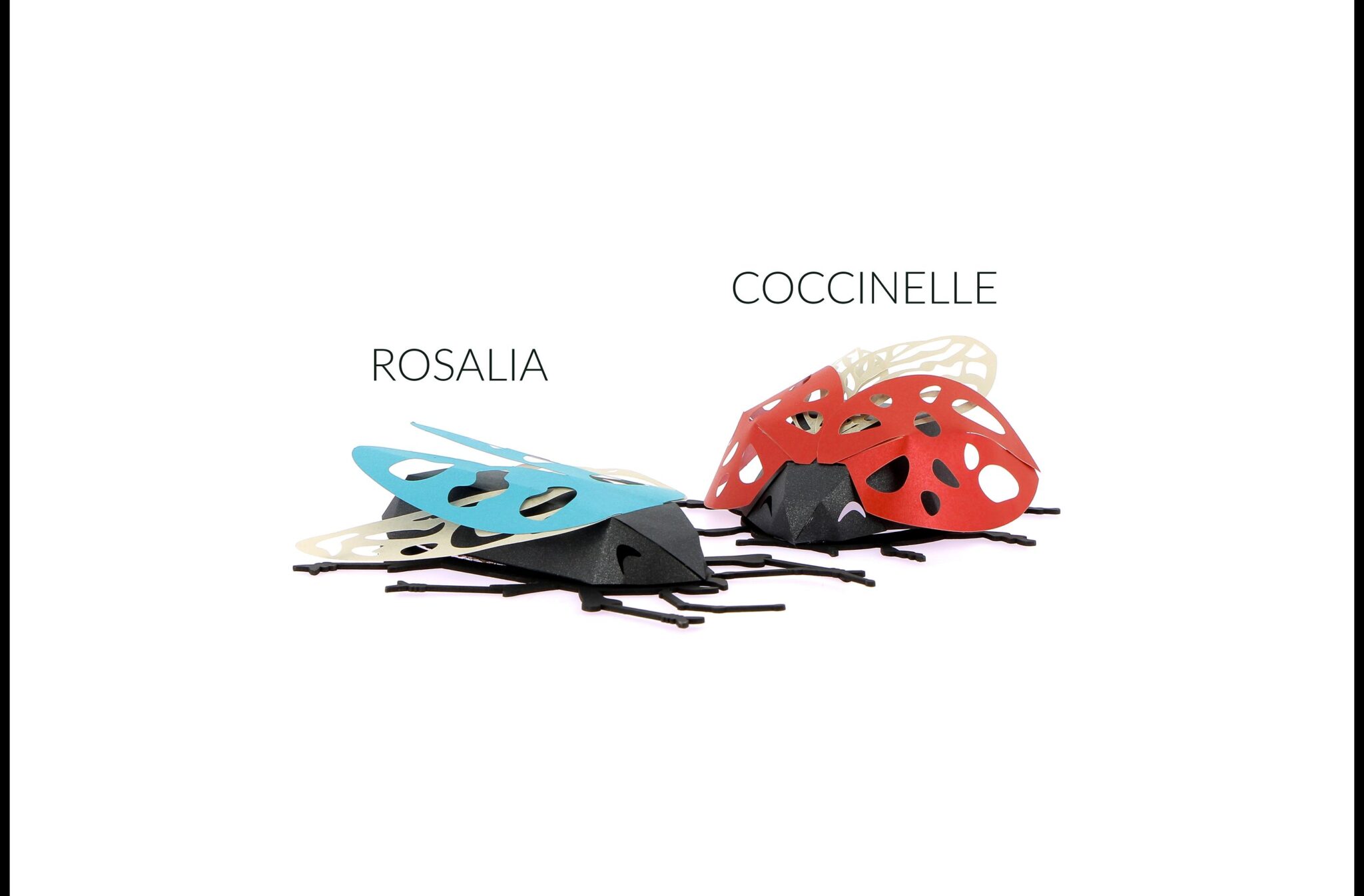 Insectes en papier - AgentPaper