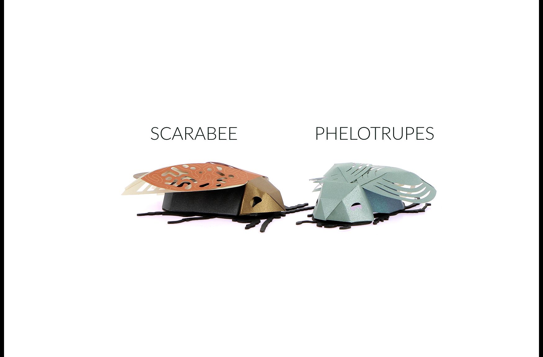 Insectes en papier - AgentPaper
