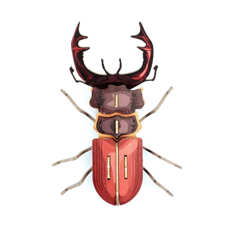 Insecte - Mordicus - AgentPaper