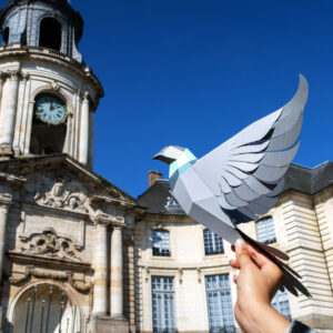 Pigeon en papier 3D - AgentPaper